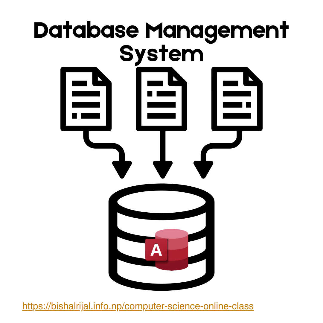 Online Class - Bishal Rijal